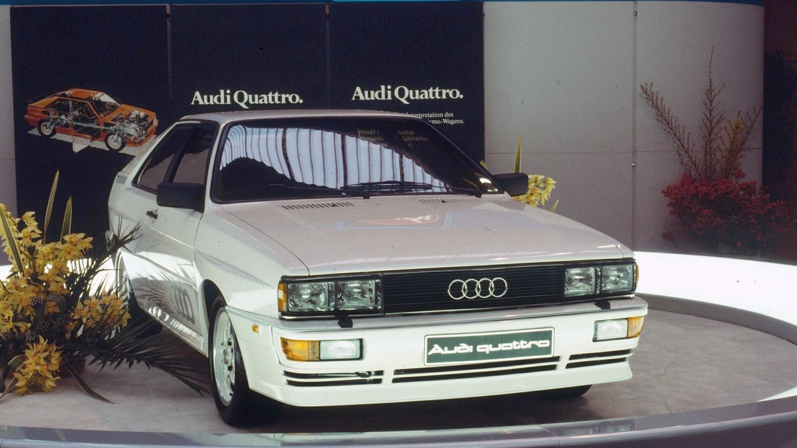 10 Amazing Audis Worth Collecting! | Audiworld