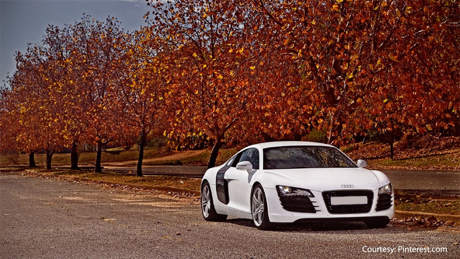 11 Pictures of Audis That Will Get You in the Fall Spirit | Audiworld