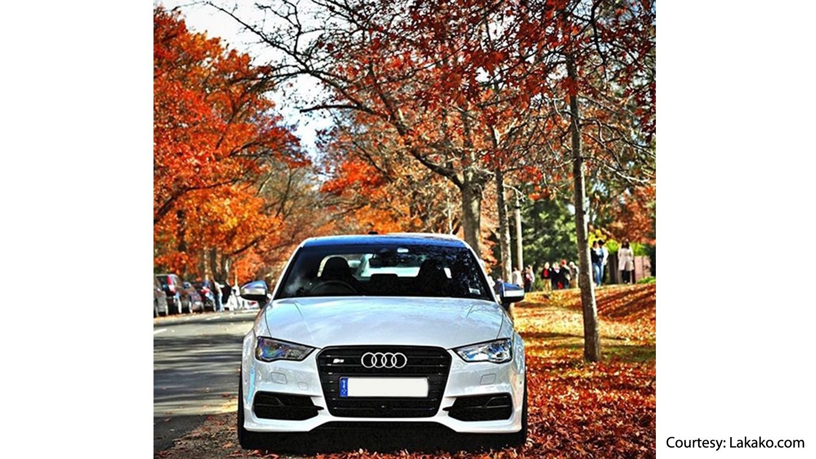 11 Pictures of Audis That Will Get You in the Fall Spirit | Audiworld