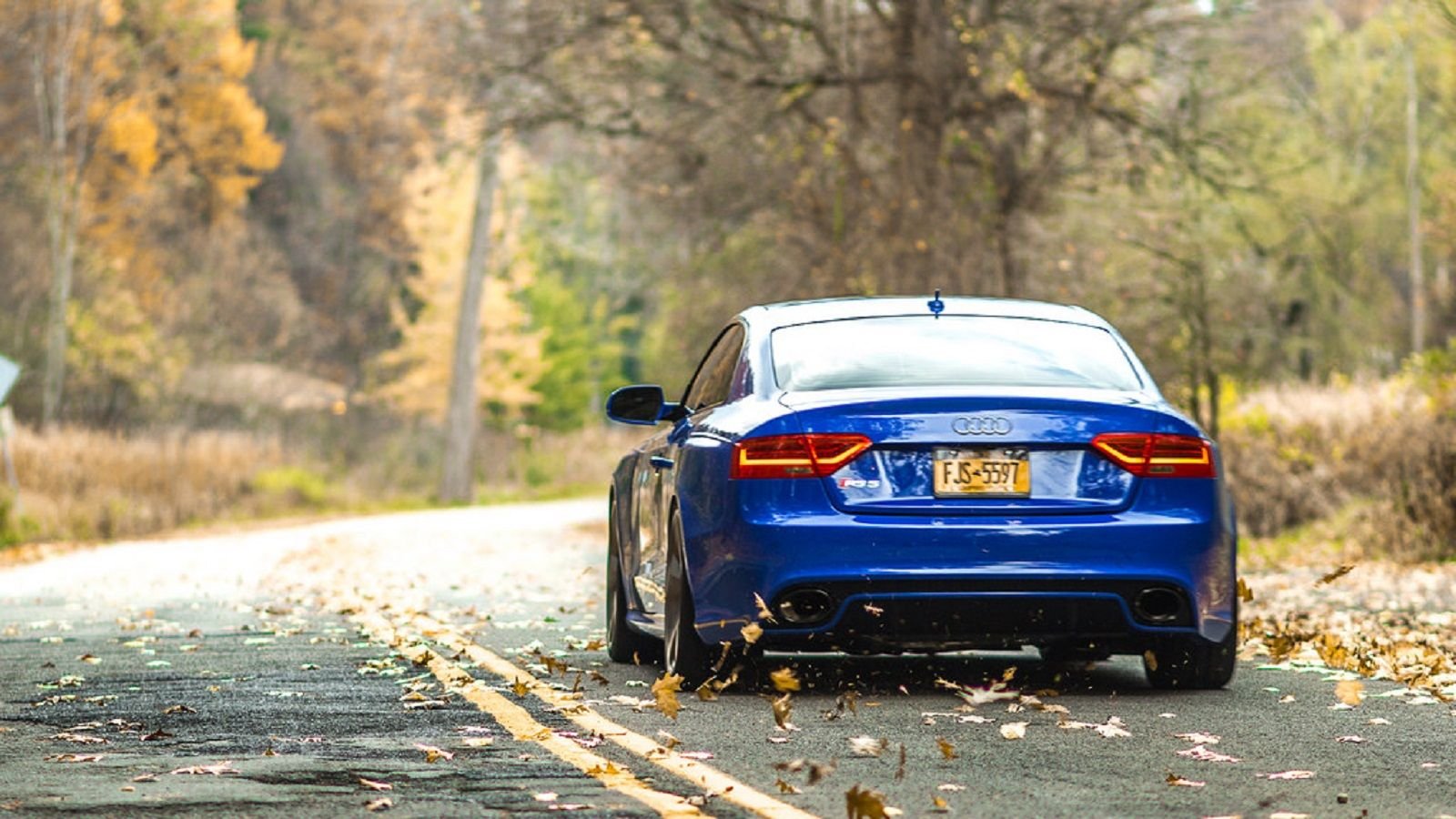 10 Pictures of Audis That Will Get You Into the Fall Spirit | Audiworld