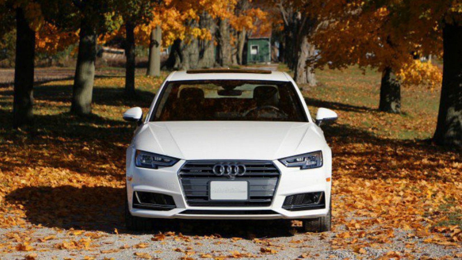 10 Pictures of Audis That Will Get You Into the Fall Spirit | Audiworld