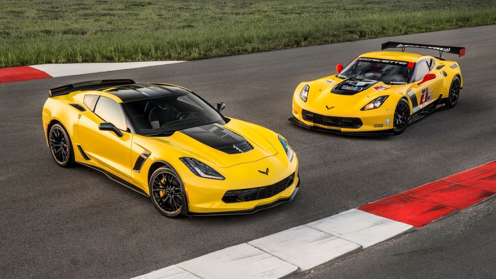 Interesting History Behind Corvette Racing's "Jake" Mascot | Corvetteforum