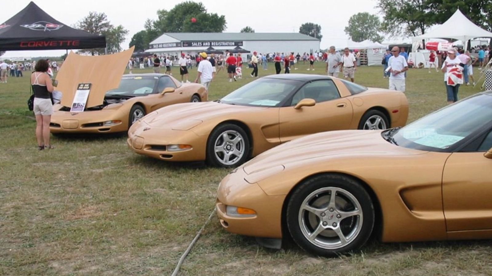 10 Rarest C5 Corvette Colors | Corvetteforum