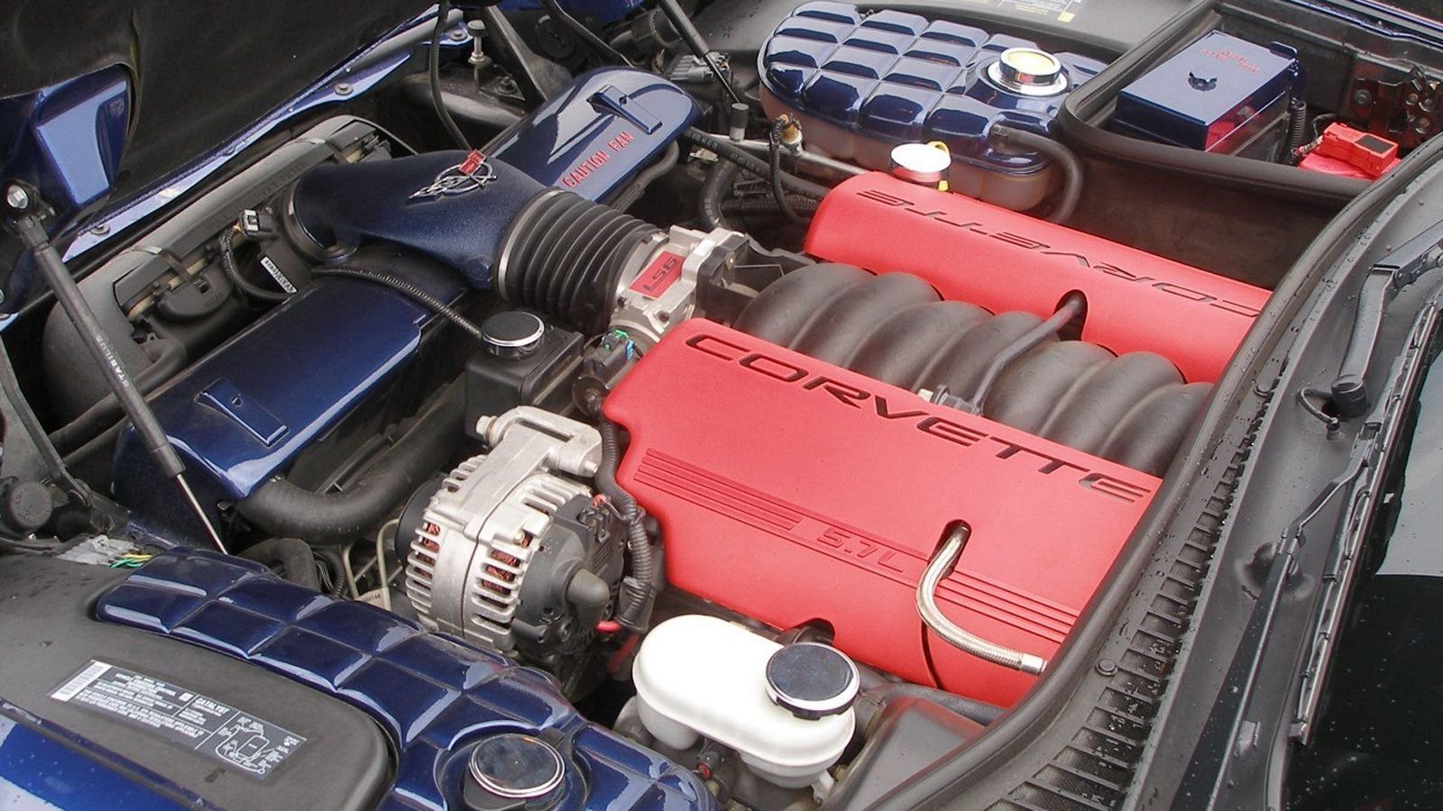 5 Facts About the C5 Corvette Z06 | Corvetteforum