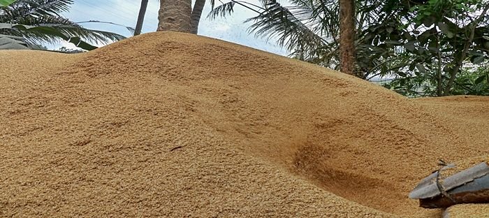 Eco-friendly Alternatives to Peat Moss - Dave's Garden