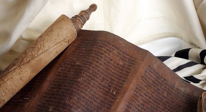 Growing Papyrus and its History - Dave's Garden