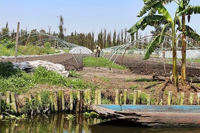 The Ingenious Floating Gardens of the Aztecs - Dave's Garden