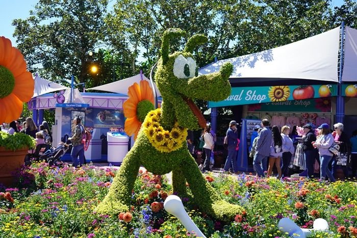 Disney Landscaping Ideas