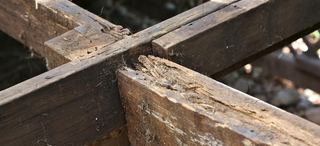 How to Repair Dry Rot Yourself | DoItYourself.com