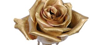How to Make Metal Roses | DoItYourself.com