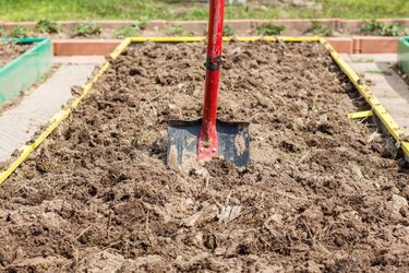 How to Plant a Potager Garden | DoItYourself.com