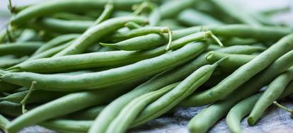 Growing Green Beans Indoors | DoItYourself.com