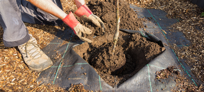 How to Replace Landscape Fabric | DoItYourself.com