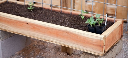 DIY Custom Flower Box | DoItYourself.com