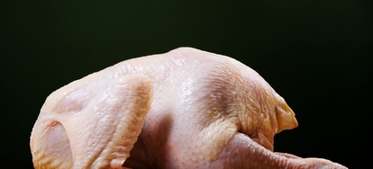 Learn How to Cook a Turkey in a Garbage Can | DoItYourself.com