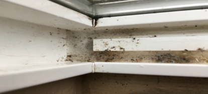 How to Clean Window Frames and Runners in 4 Steps | DoItYourself.com