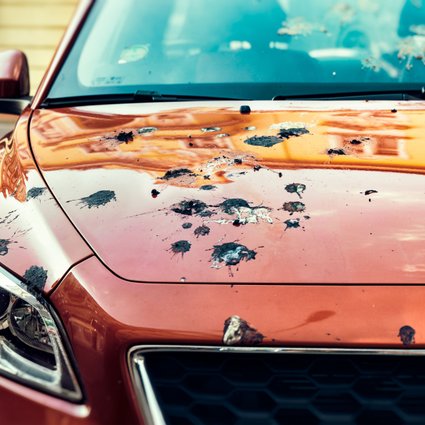 10 Most Common Causes of Car Paint Damage | DoItYourself.com