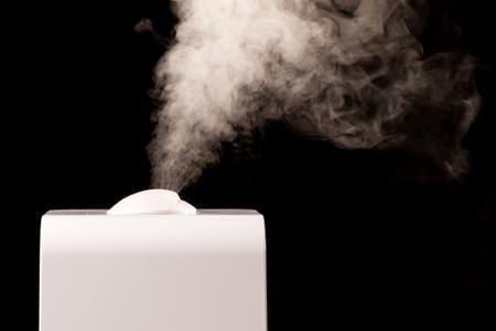 How to Maintain the Proper Humidity Levels in Your Home | DoItYourself.com