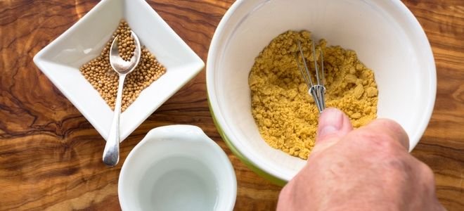 How to Grow and Harvest Mustard from Seed to Sauce | DoItYourself.com