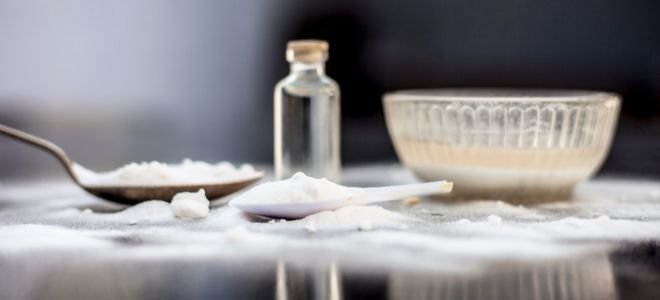 How To Make A Homemade Roach Killer