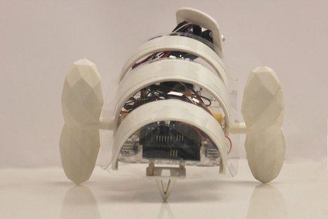 Solar-Powered Autonomous Robot Roams the Desert Planting Seeds ...