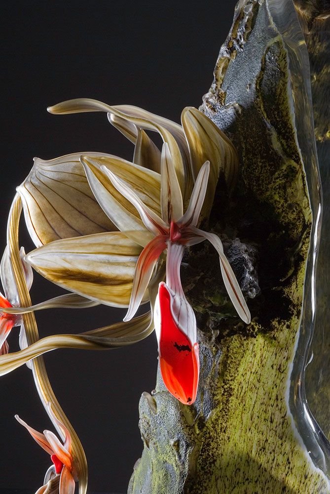 Take a Stroll Through Debra Moore’s Fairytale World of Glittering Glass ...