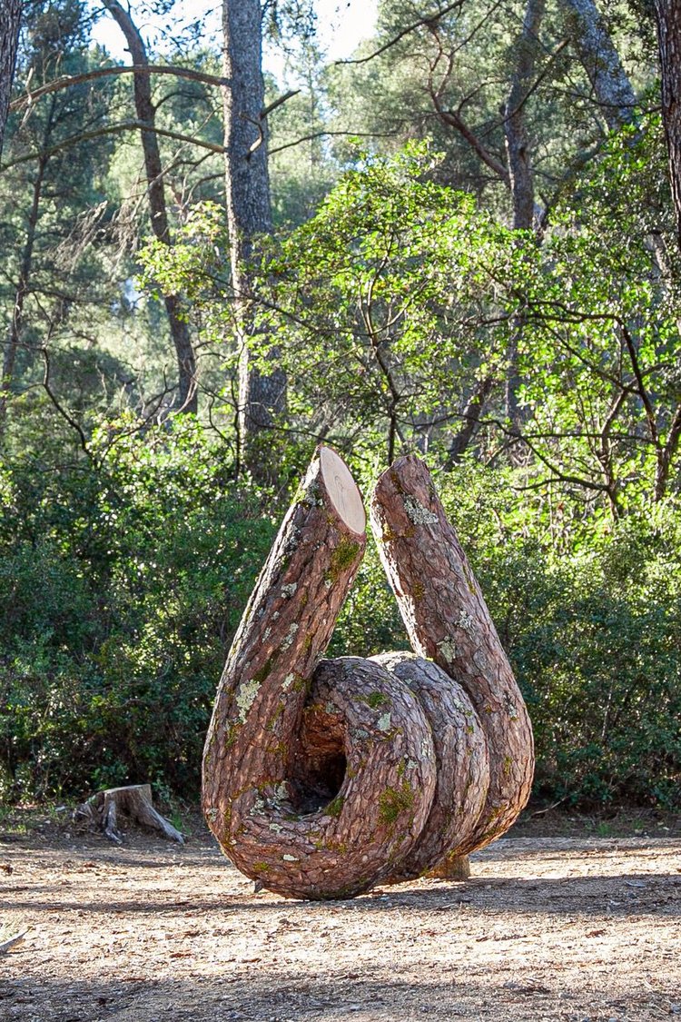 Monsieur Plant Molds Tree Trunks into Shockingly Unnatural Sculptures ...
