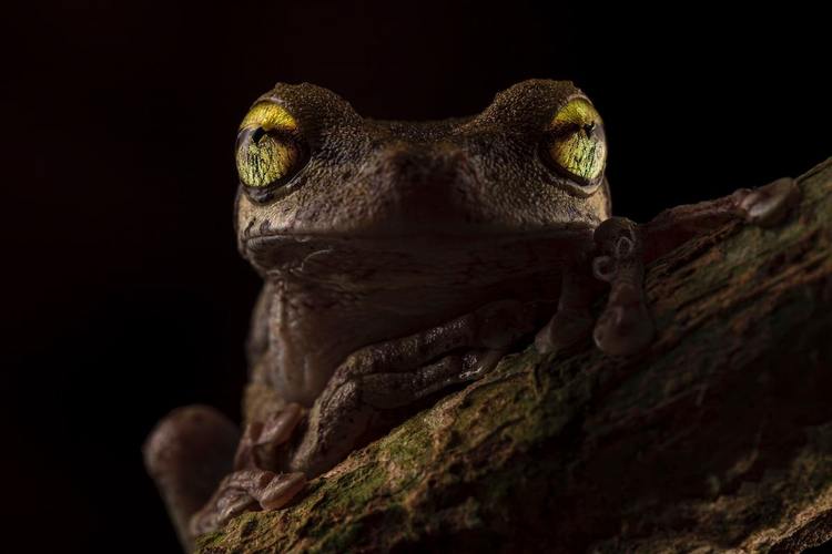 A Look at the Spectacular Winning Shots from the 2022 British ...