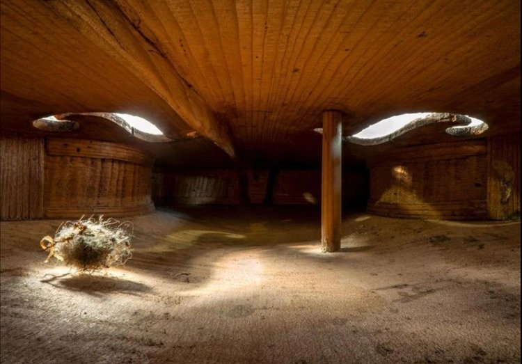 Photos Reveal the Inner Architecture of Musical Instruments | Designs ...