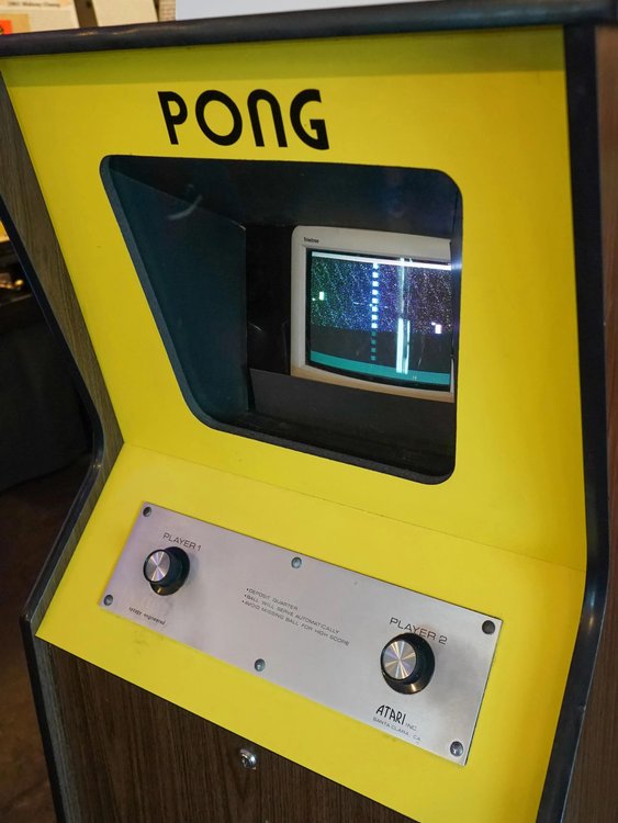 These Lab-Grown Brain Cells Just Learned How to Play Pong | Designs ...
