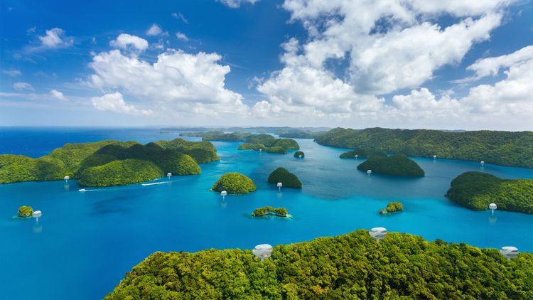 SeaPods Provide Oceanfront Living While Restoring Life Below the ...