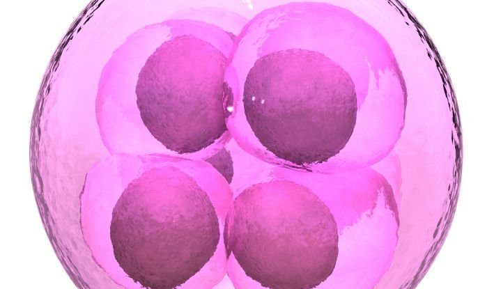 In Vitro Fertilization: What Is a Mock Transfer?