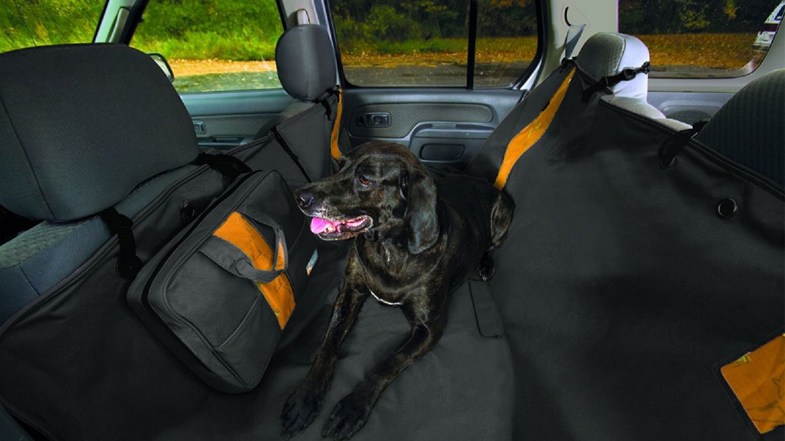 6 Ford Truck Mods for Your Dog | Ford-trucks