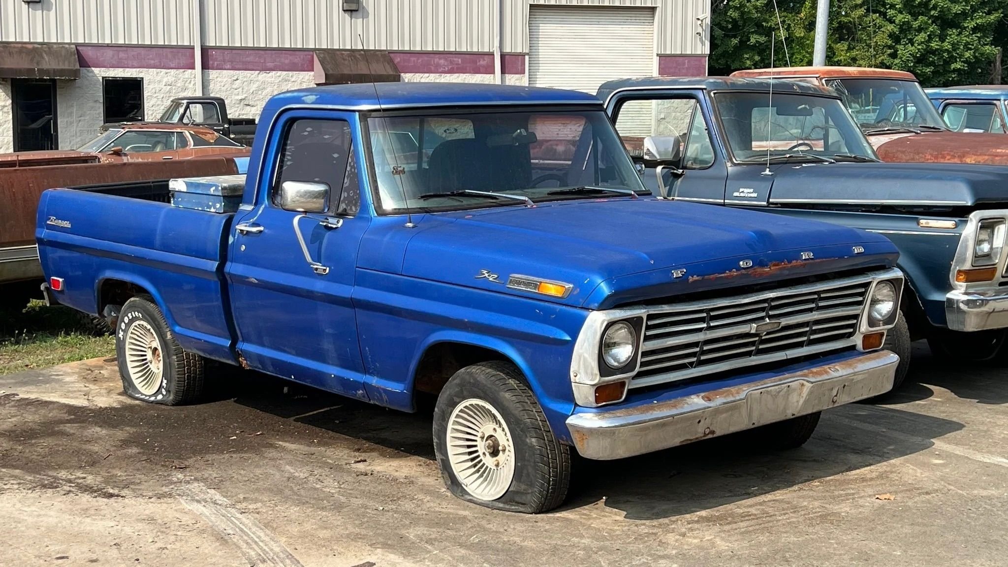 Check Out This Massive Collection Of 114 Vintage Ford Trucks | Ford-trucks