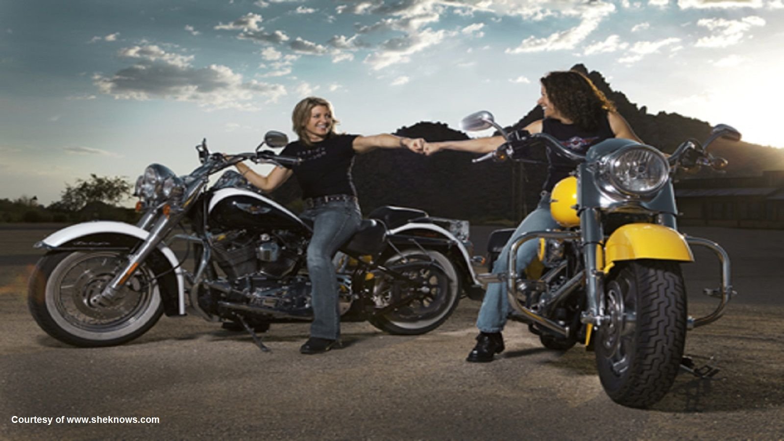 The Iron Butt Riders of HDForums | Hdforums