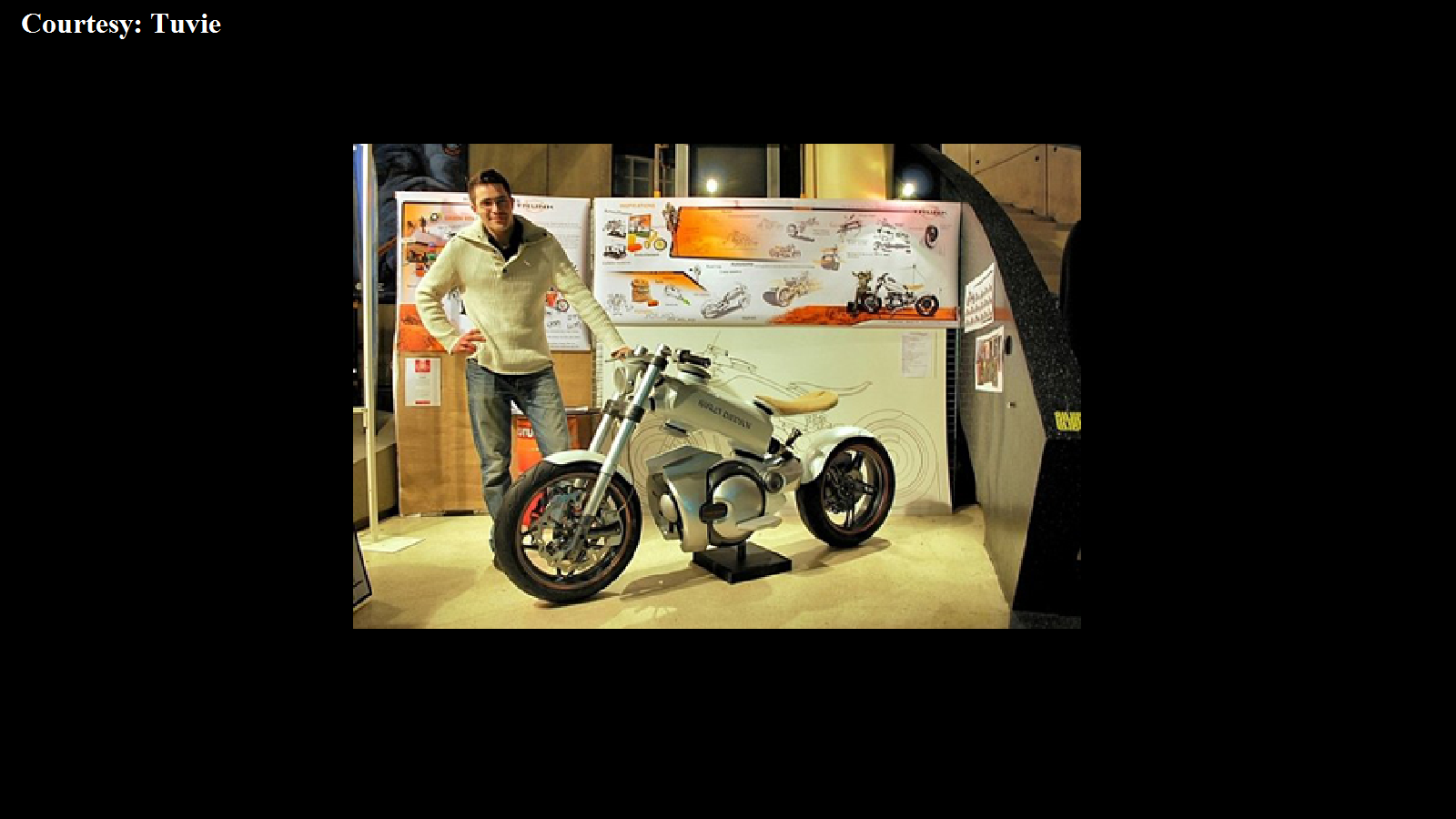 Electric and Eco-Friendly Harleys for Earth Conscious Riders (Photos ...