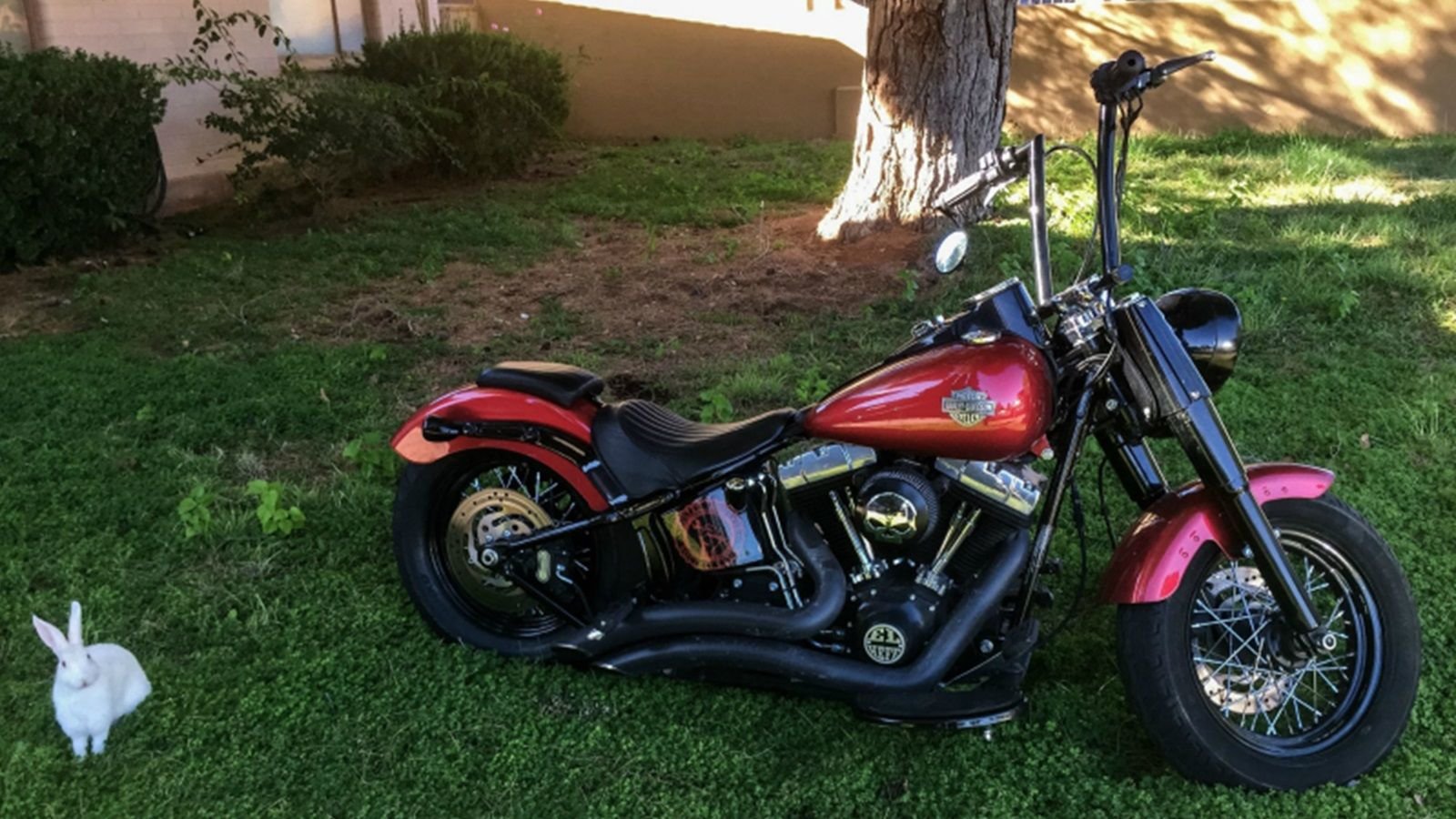 Top 10 Quickest Harleys of All Time! (0 - 60 mph) | Hdforums