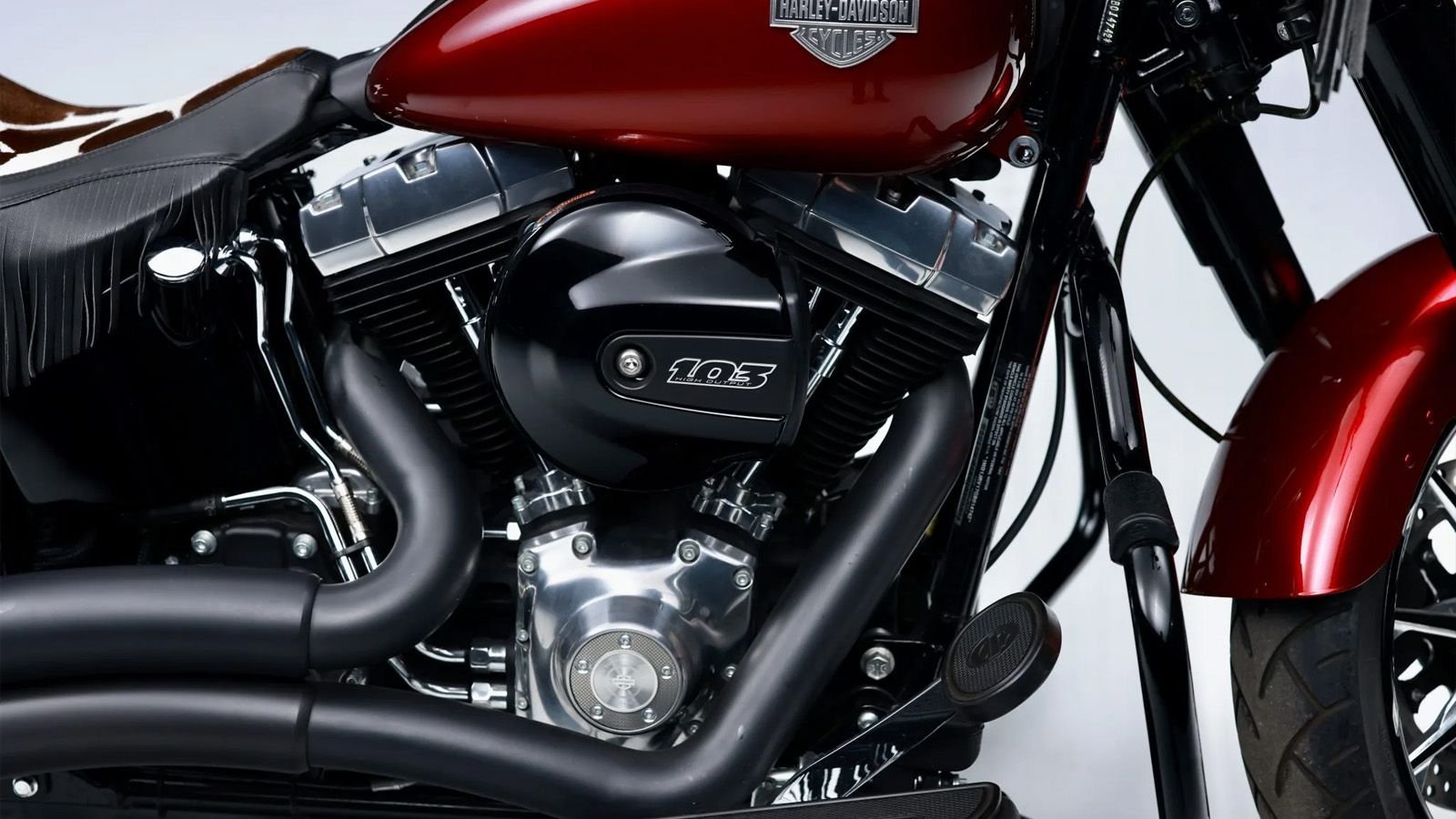 Softail Slim Hoofs it as Moo Glide Throwback | Hdforums