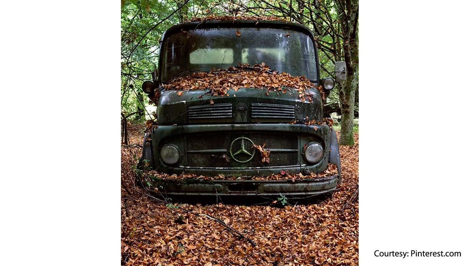 6 Creepy Mercedes-Benzes Abandoned in the Woods | Mbworld
