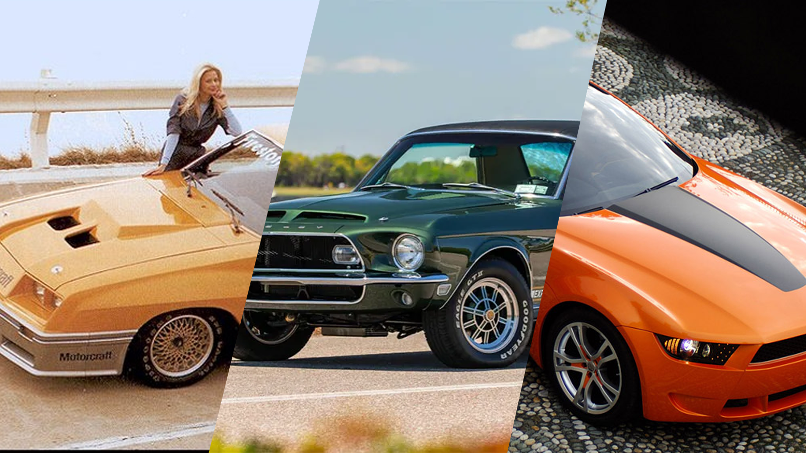 10 Rarest Ford Mustang Variants In History | Themustangsource