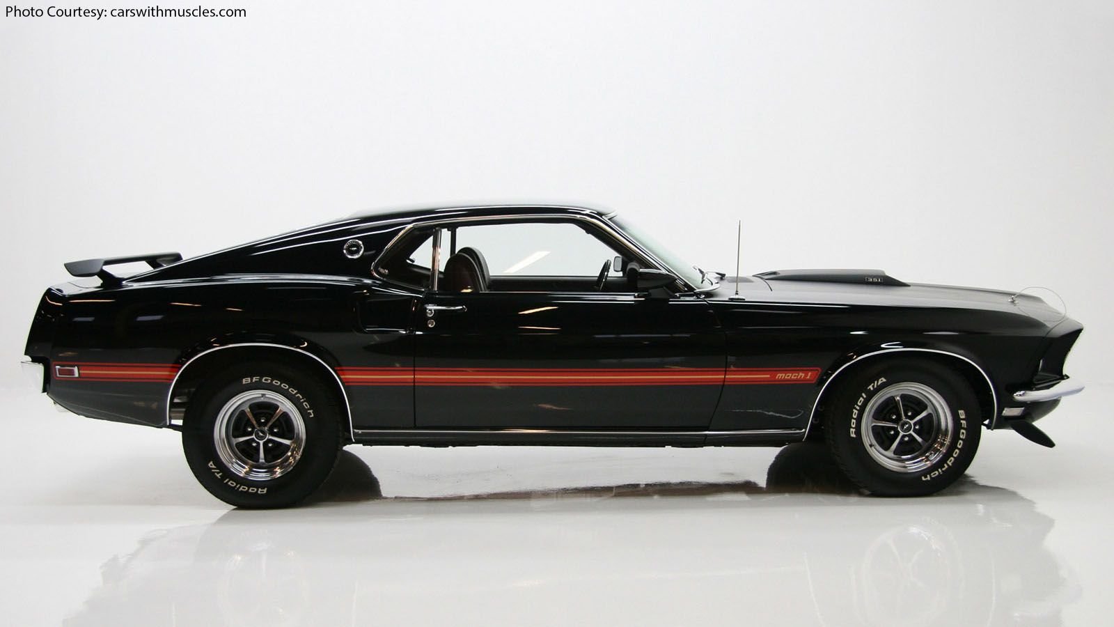 10 Rare Mustang Special Editions | Themustangsource