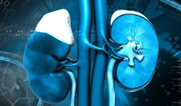 Hydronephrosis Treatments