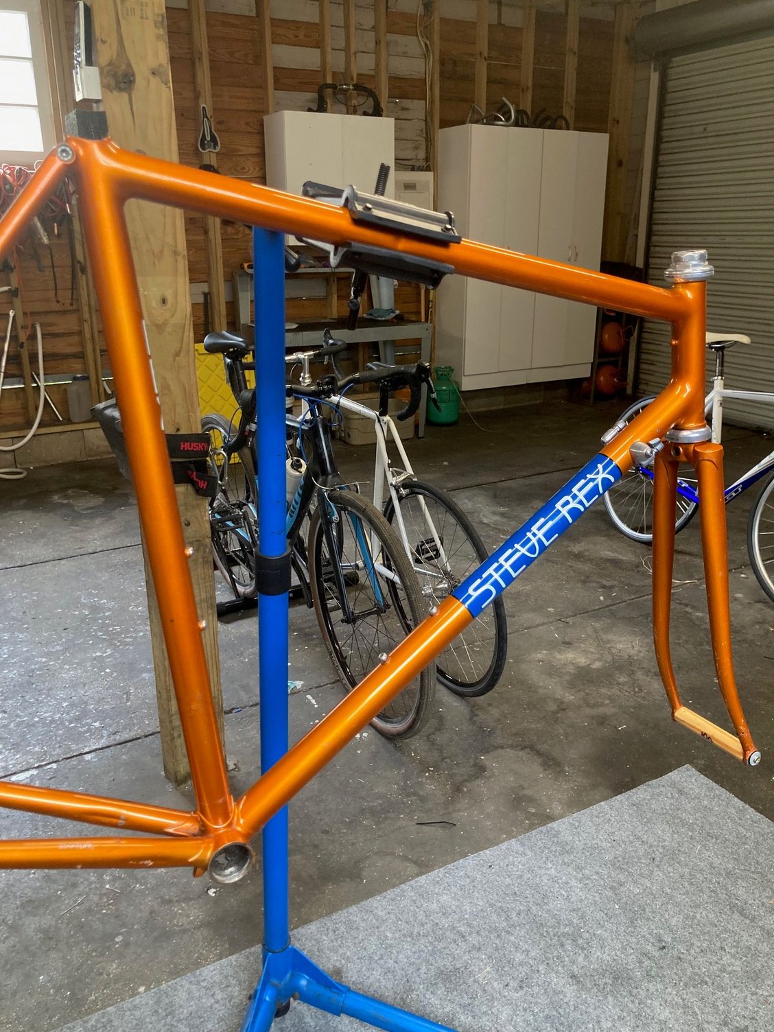 Steve Rex Frame - Bike Forums