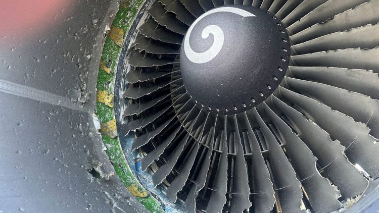 Anyone seen this kind of birdstrike damage to a turbofan? Fedex 767 ...