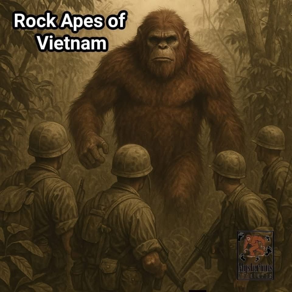 Did any RAF or RN aircrew on exchange with USAF, USN fly over Vietnam ...