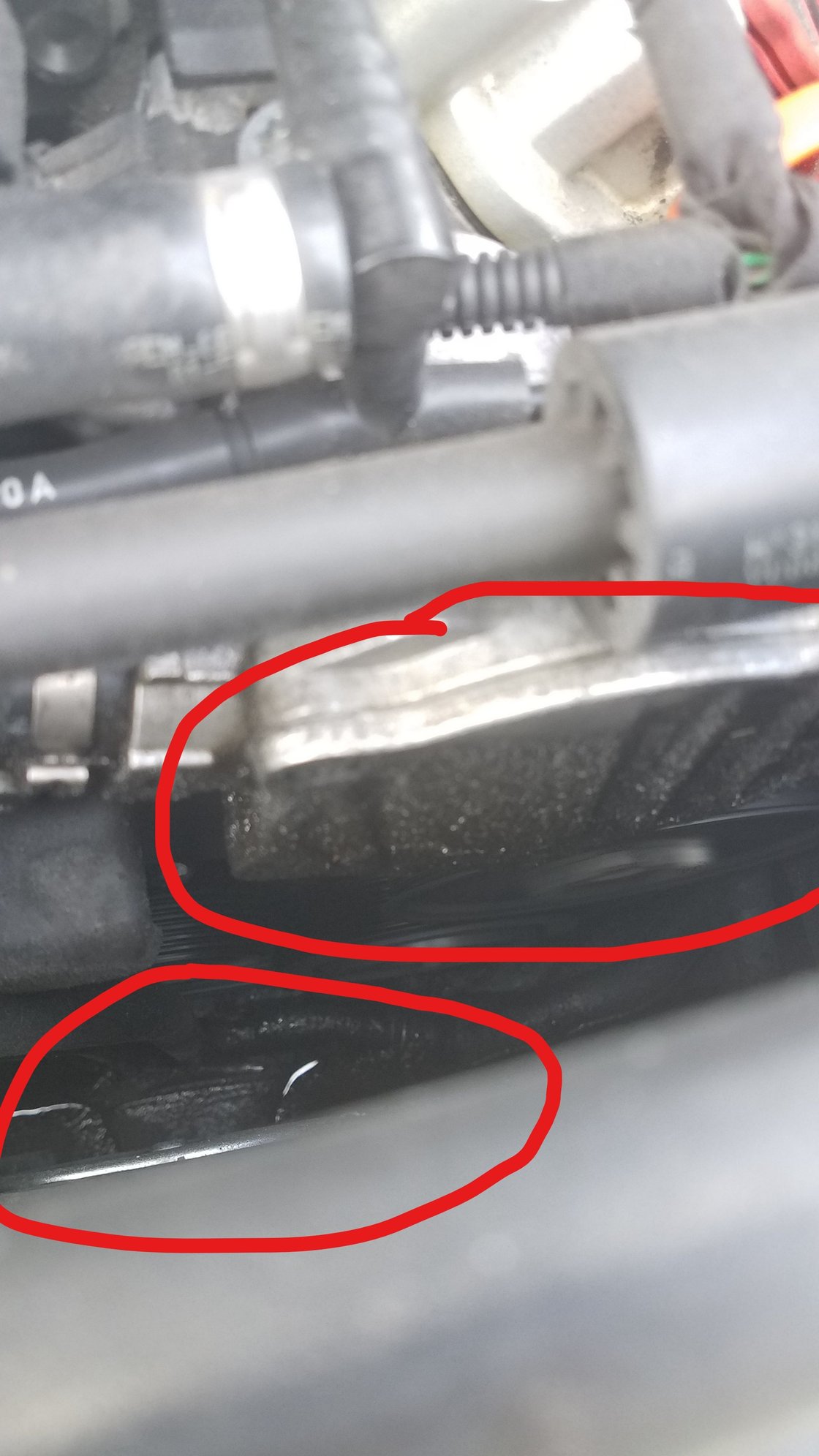2011 C6.5 3.0 Coolant Leak - AudiWorld Forums