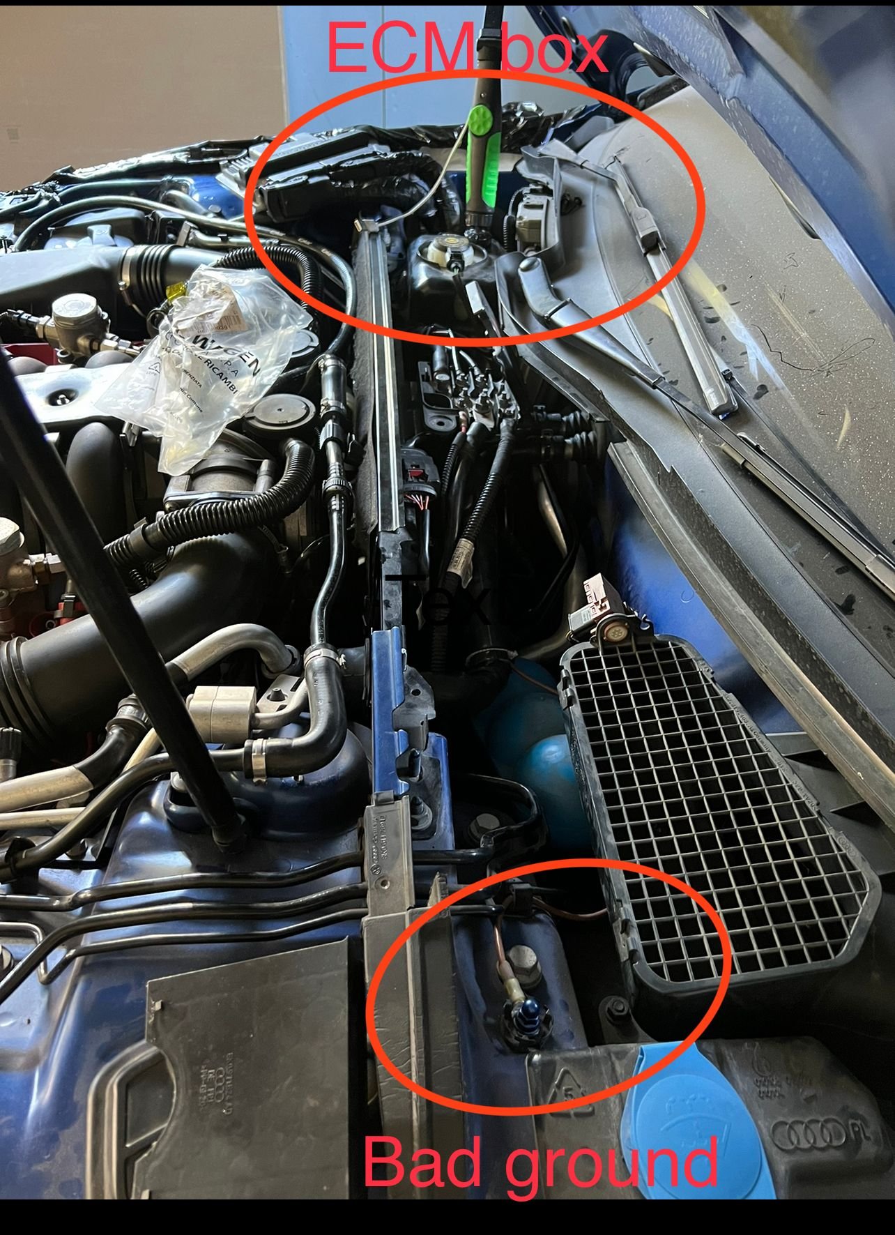 Terminal 30 U140A00 open circuit RS4 B8 - AudiWorld Forums