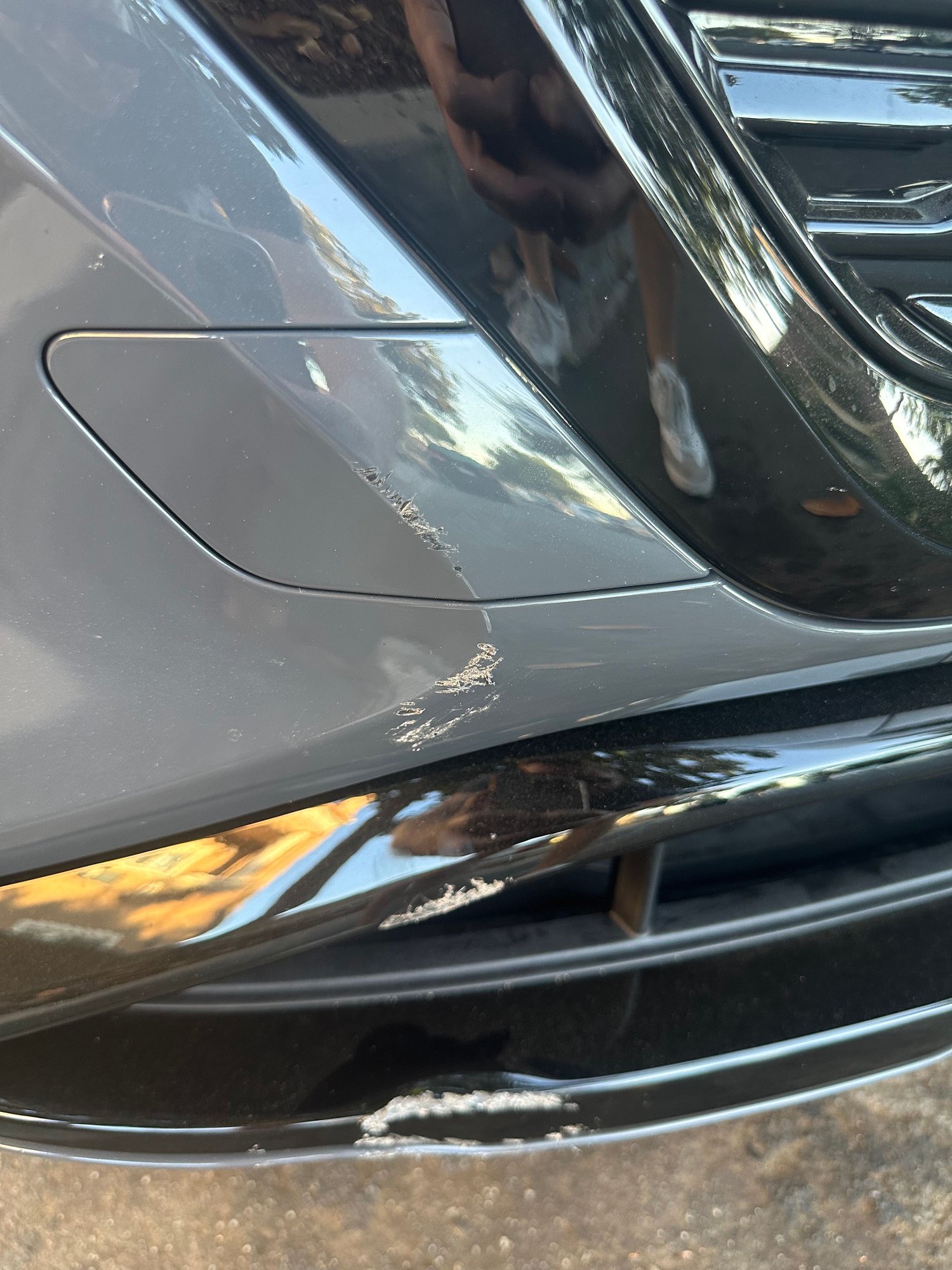 Multiple panels scratched / dented - AudiWorld Forums