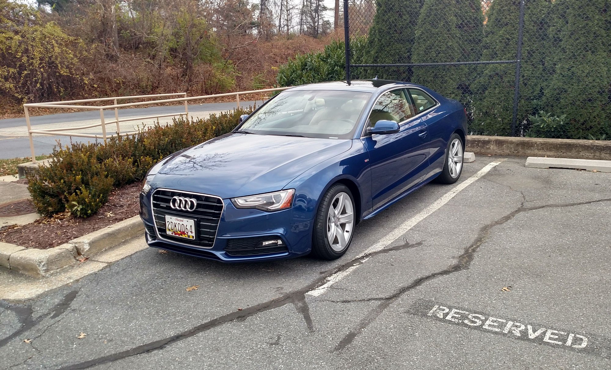 Another picture thread - AudiWorld Forums