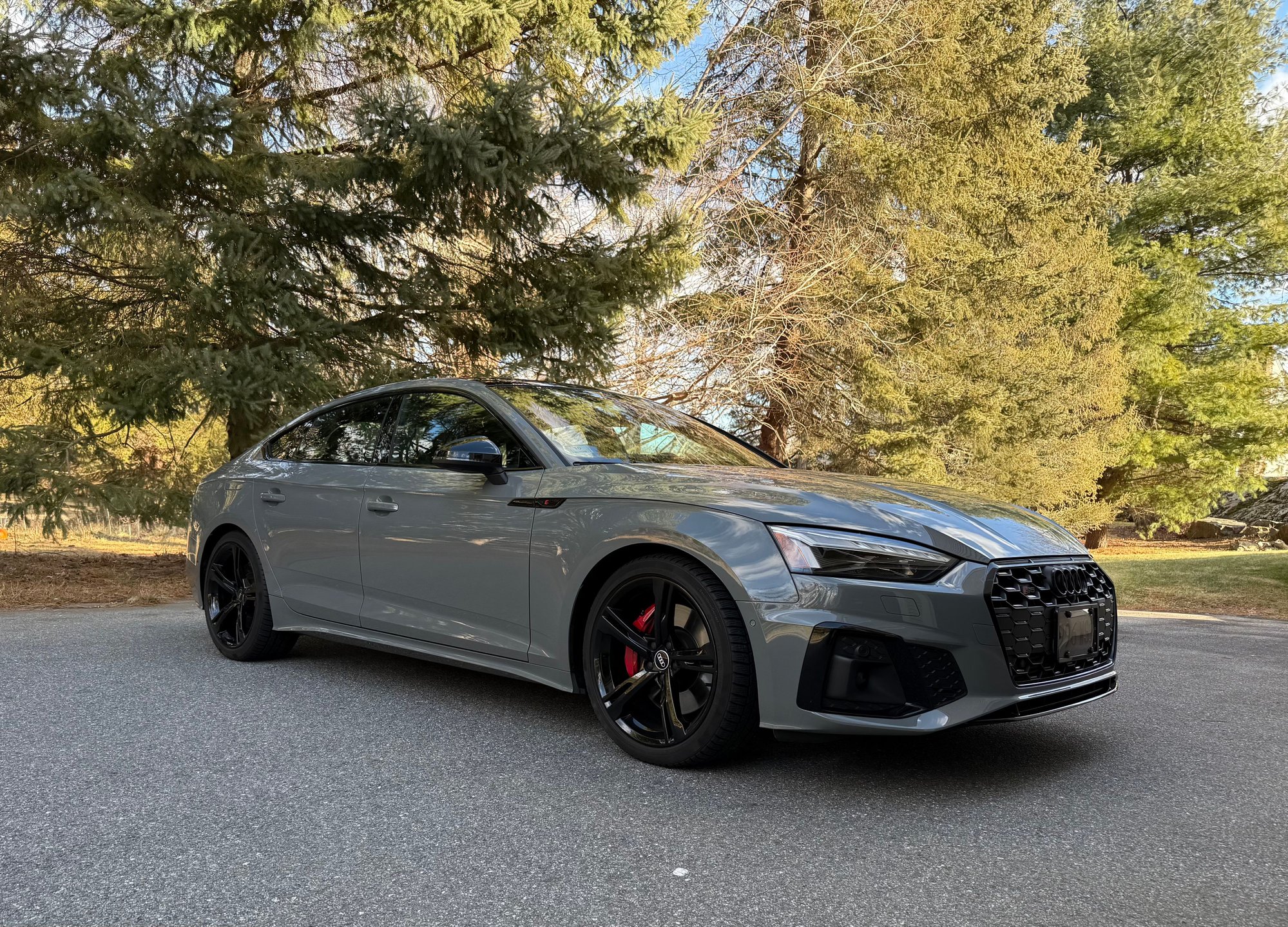 Pics you took today of your A5/S5 - Page 440 - AudiWorld Forums